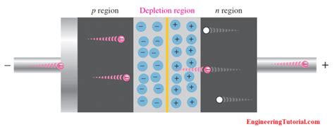Forward Bias Reverse Bias Of A Diode Engineering Tutorial