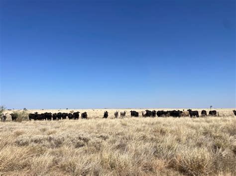 Robbie Mckenzie On Linkedin Thanks For Sharing George Great Mob Up There 👆