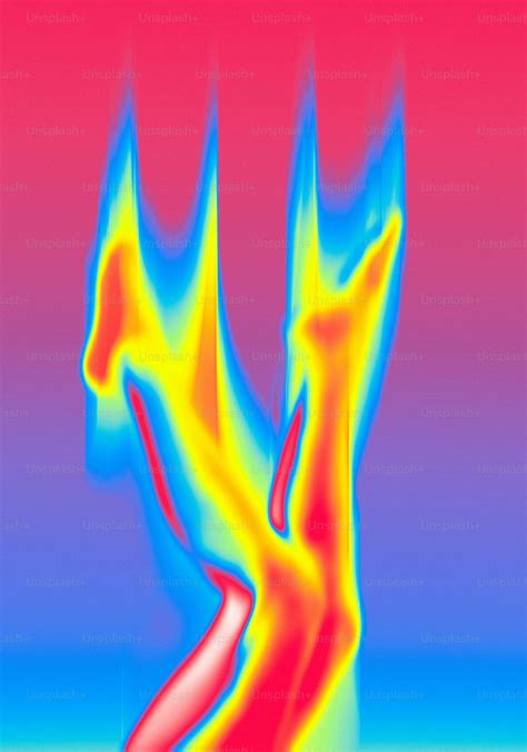 긴 꼬리를 가진 고양이의 다채로운 이미지 사진 Unsplash의 에너지 이미지