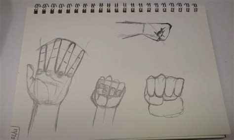 Mikeymegamega Anatomy Discover The Magic Of The Internet At Imgur A Community Powered