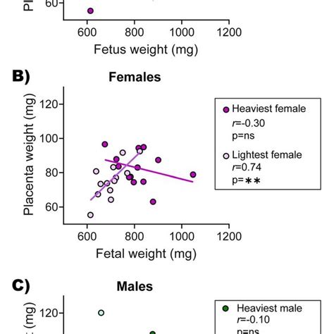 List Of Primary Antibodies Used In This Study Download Scientific Diagram