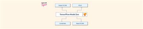 What Is Tensorflow Model Zoo Scaler Topics