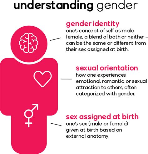 Chs Teachers Prepare For Statewide Lgbtq Curriculum Requirement The