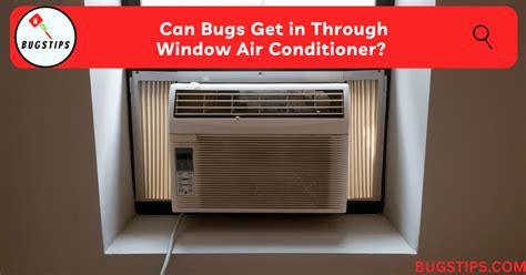 window air conditioner bugs at merrill lavallee blog