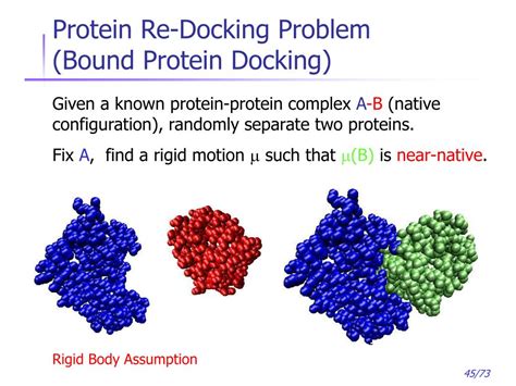 Ppt Sequence Assembly And Protein Docking Algorithms Powerpoint