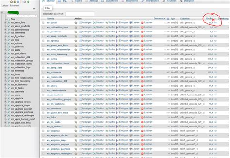 wordpress database very large table wp options huge pixelfriedhof