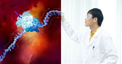 Goran Dahl On Linkedin Looking For A Phd Position Or Know Someone Who Does Have A Look Here