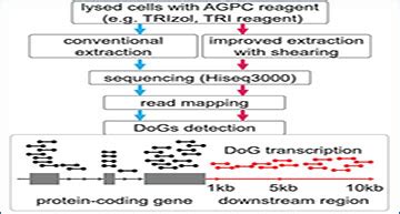 Remarkable Improvement In Detection Of Readthrough Downstream Of Gene Transcripts By Semi