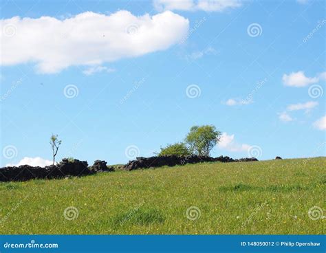 Bright Green Grass Meadow Covered In Spring Flowers On A Hillside With Crumbling Old Stone Wall