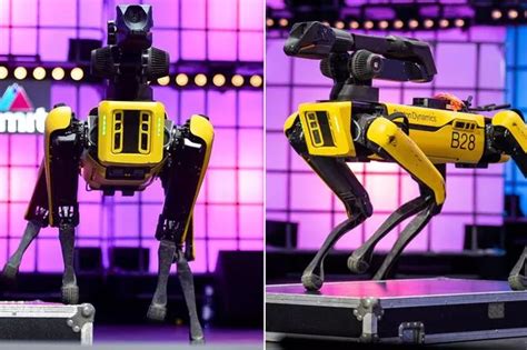 Thousands Of Intelligent Sex Robots Who Have Mood Swings On Sale For 12 000 Mirror Online