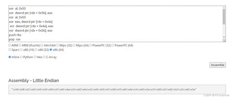 ★pwn 手写shellcode保姆级教程★shellcode编写教程 Csdn博客