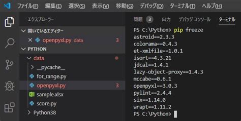 Openpyxl でエラーが出力されます。