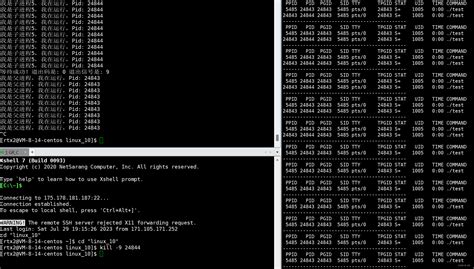 零基础linux 10 进程 进程终止 main函数的返回值 进程等待 终止main c csdn博客