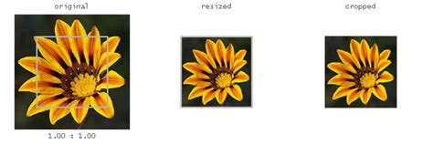 crop to fit an image using asp php salman s web development blog