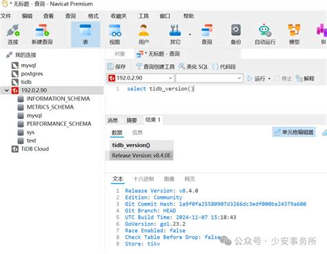 tidb生态新伙伴：navicat正式支持tidb csdn博客