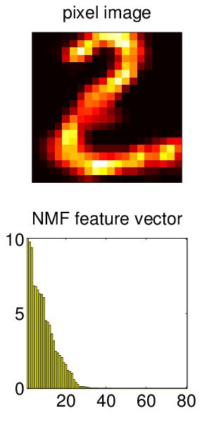 Nonnegative Basis Vectors For Handwritten Digits Discovered By Nmf And