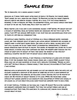 Common App College Essay Outline Worksheet And Sample Tpt