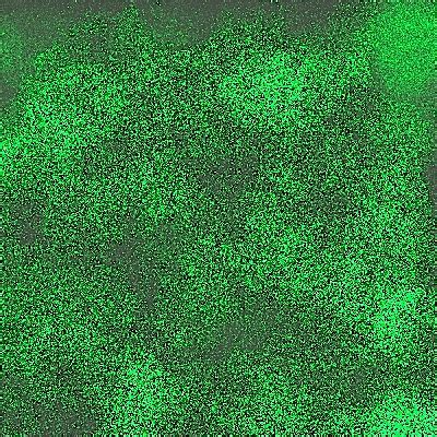 Codes Gifs WiffleGif