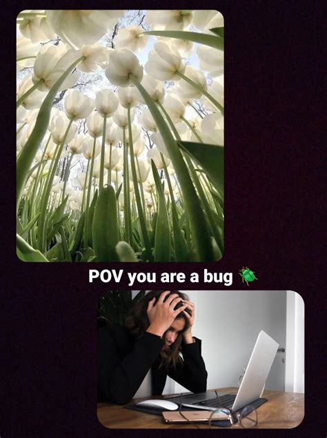 My First One Here Show Some Love Rprogrammerhumor