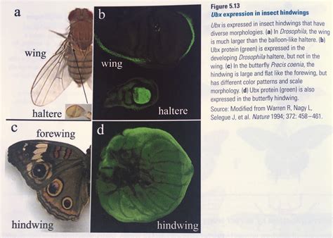 Reading Material Before Class