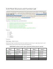 6 03 Plant Structure And Function Lab Pdf 6 03 Plant Structure And Function Lab Instructions