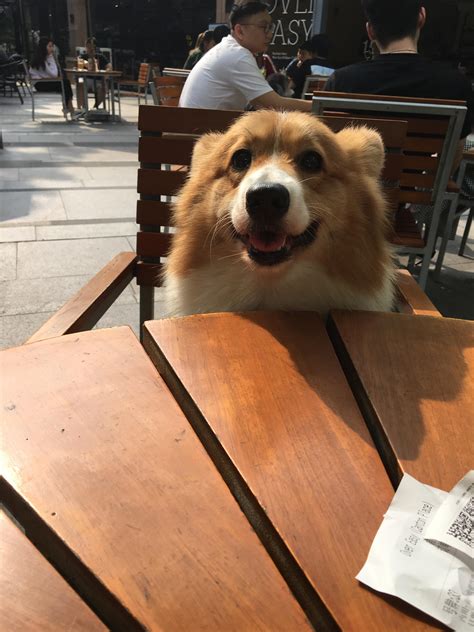 Best Kumo Images On Pholder Kumo Desu Animenocontext And Runefactory