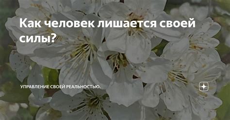 Как человек лишается своей силы? | Управление своей реальностью. | Дзен