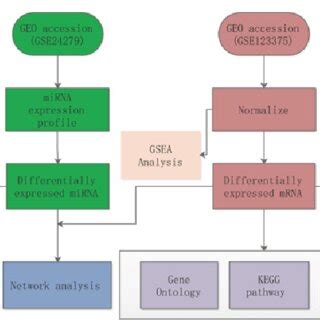 The Workflow In Data Analysis Download Scientific Diagram