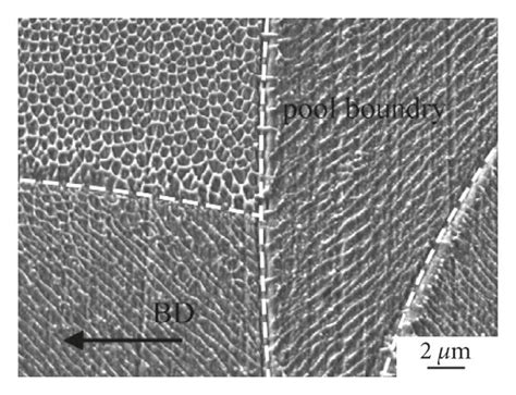 Microstructure And Eds Analysis Of The Annealed Slm 316l Stainless Download Scientific Diagram