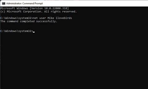 How To Use Net User Command In Windows 11