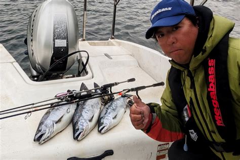 ぼくらの宝探し Megabass メガバス