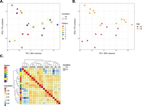 Global Transcriptome Analysis Of Oocytes According To Sample