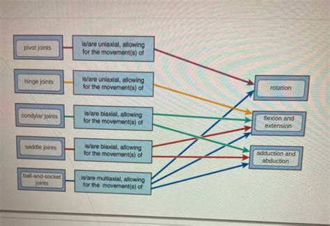 Solved Complete The Concept Map To Name And Describe The Chegg Com