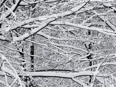 Software Complexity And System Thinking By Jin The Dev Project Medium