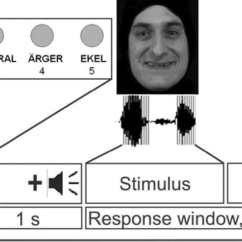 Experimental Design Based On Auditory Visual Or Audiovisual Stimuli Download Scientific