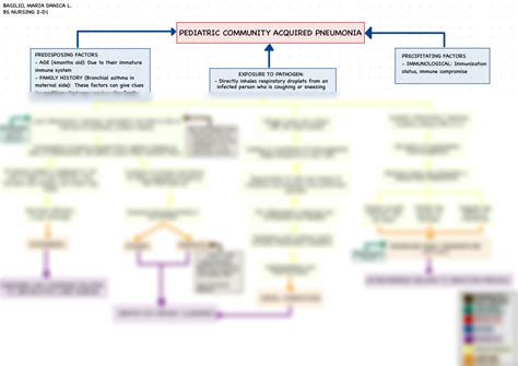 Solution 2 Pathophysiology Pneumonia Studypool