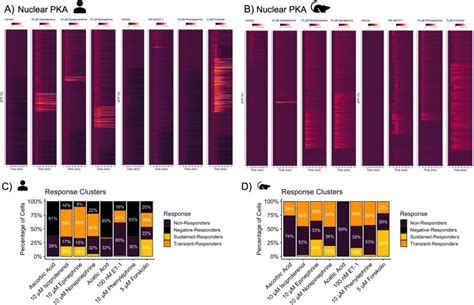 Comparing The Signaling And Transcriptome Profiling Landscapes Of Human