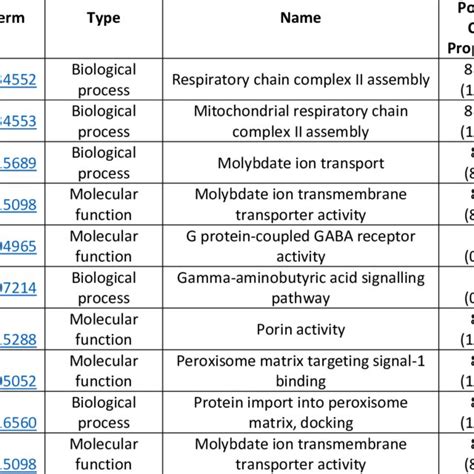 The Most Important Features In The Rf Classifiers Trained With Protein