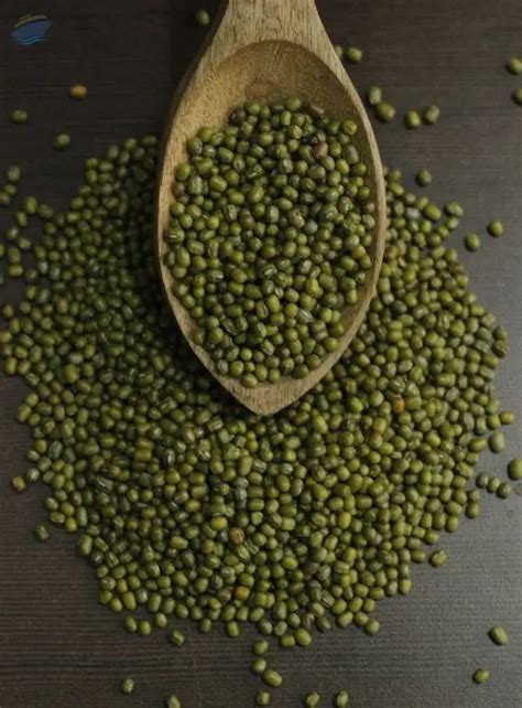 Major Millets By Siva Trading Company Supplier From India Product Id