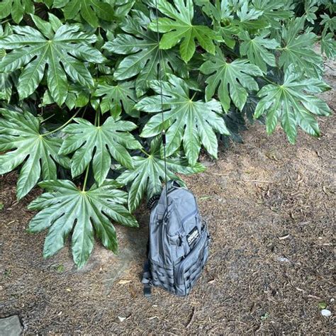 📻 Db25d Manpack・free 3d File For 3d Printing・cults