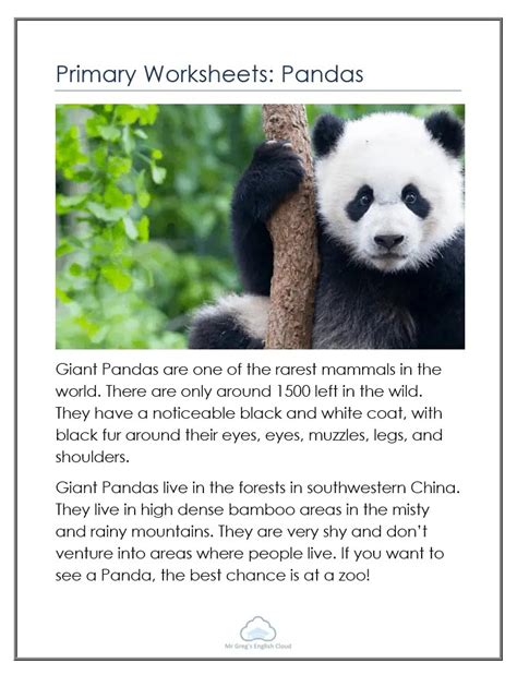 primary worksheets pandas mr greg s english cloud