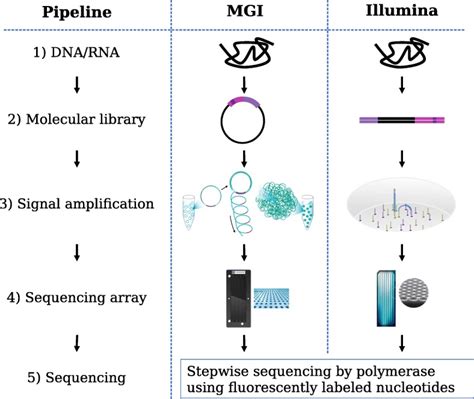 Impact Of Sequencing Depth And Technology On De Novo Rna Seq Assembly Pmc