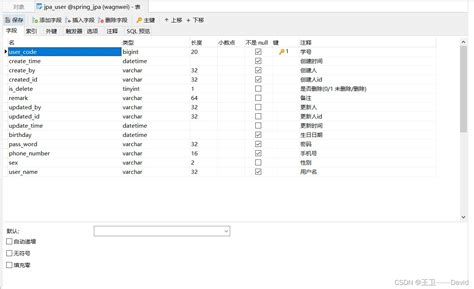 Spring Data Jpa之自动创建数据库表 阿里云开发者社区