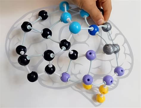 The Sano Center Makes Advancements In Neuroimaging Through Quantum Computing Disrupt