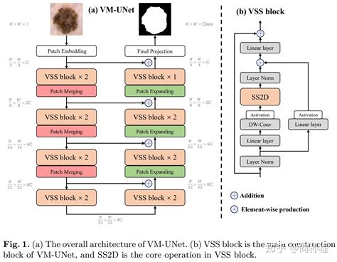 Vm Unet：基于纯mamba的医学图像分割模型 知乎