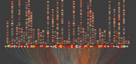 Big Data Opens New Avenues For Genomics Research Scientific Computing World