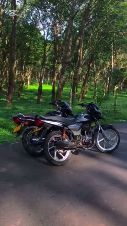 Bgr Boy And Tm Boy Youtube