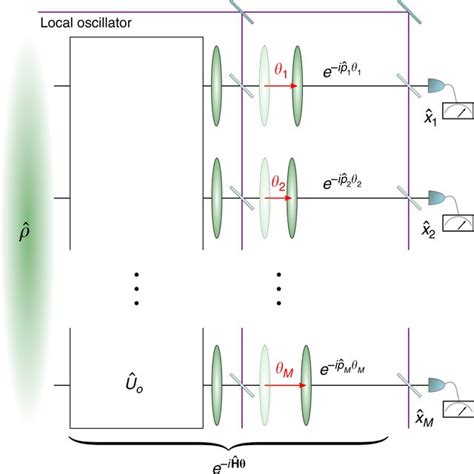 Optimal Multimode Displacement Sensing With Squeezed Vacuum States The