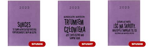 Купить КАЛЕНДАРЬ Планировщик 2023 ЦИТАТЫ Мотивационные СХЕМЫ отзывы фото и характеристики на