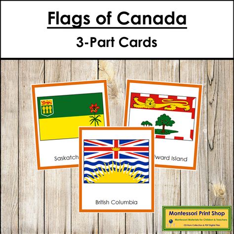 Flags Of The United States Of America 3 Part Cards Color Borders